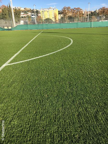 Des gazons résistants à la sécheresse et à la chaleur